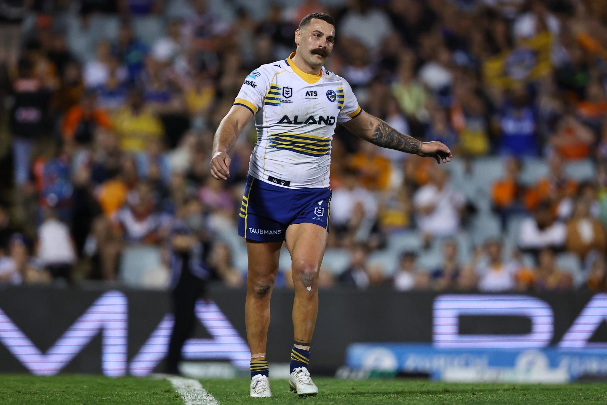 The top ten props from the 2024 NRL season - NRL News - Zero Tackle ...