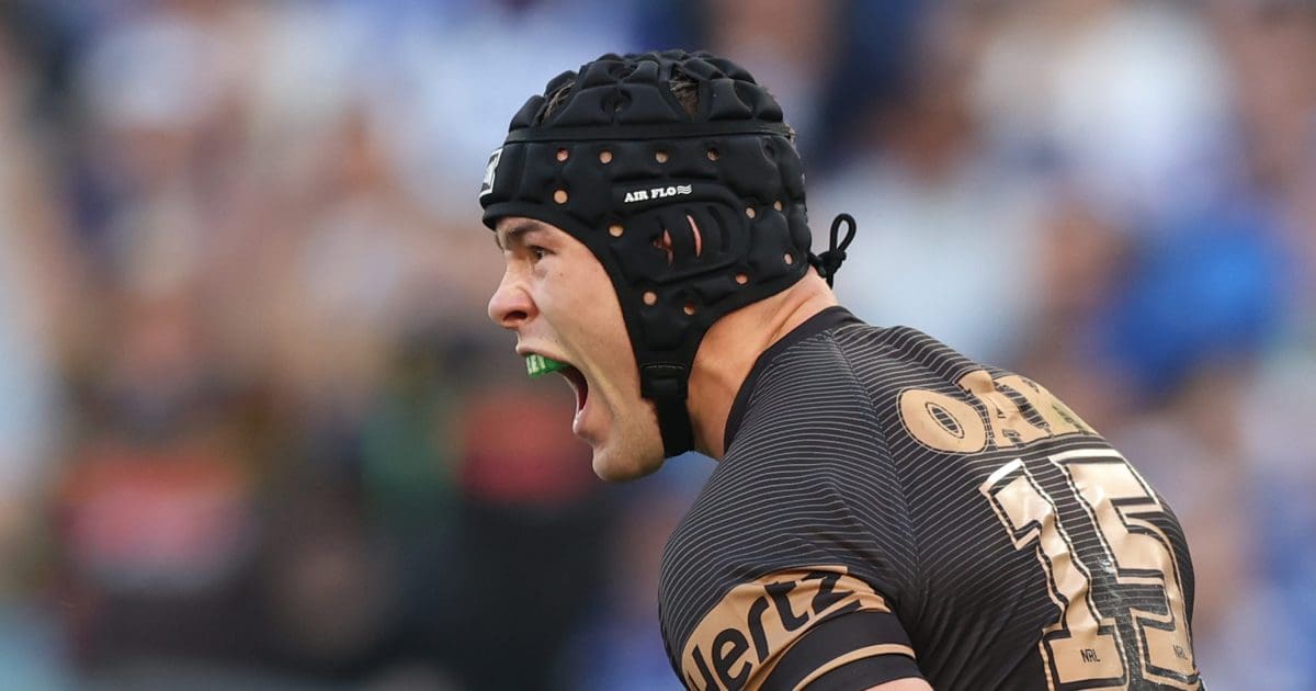 Perth Bears confirm two more signings - NRL News - Zero Tackle