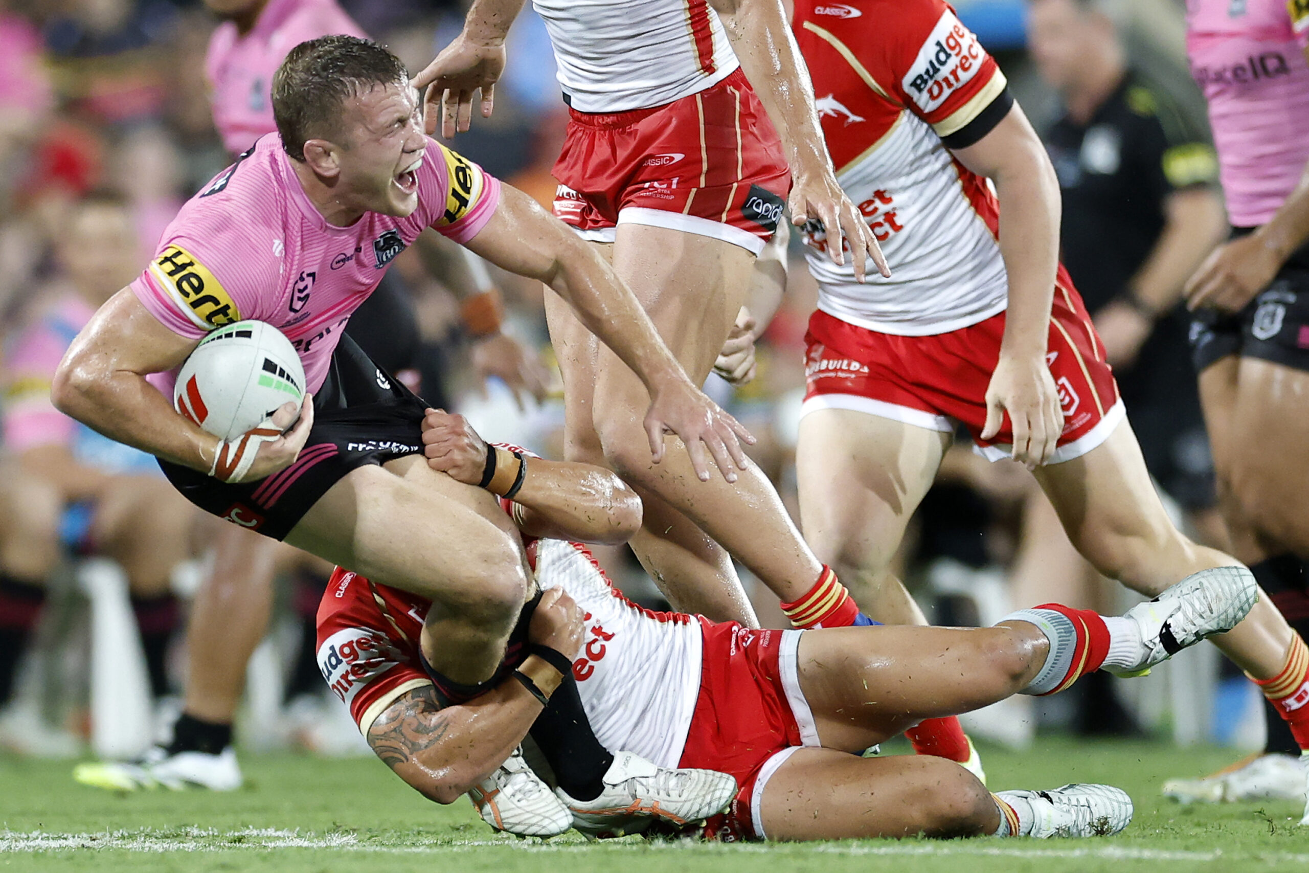 Kenny blow leaves Panthers sweating as surgery looms - Zero Tackle
